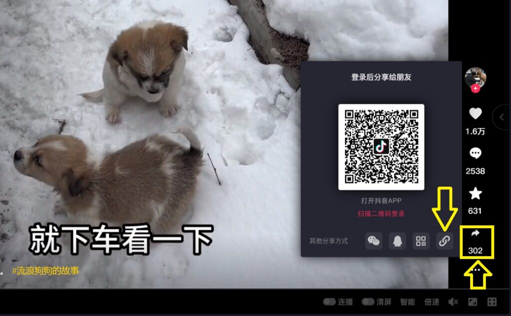 SnapTik Douyin - Download Douyin Video (Chinese TikTok) without Watermark