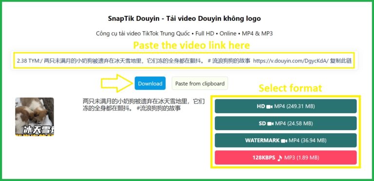 SnapTik Douyin - Download Douyin Video (Chinese TikTok) without Watermark